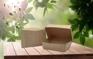 The Ultimate Guide to Choosing the Right Paper Takeaway Boxes - Bistro ...